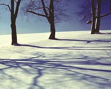 May 16th Chronological Bible Readings – Chronological Bible Blog